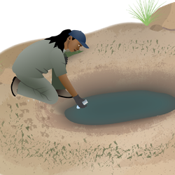 Monitoring Country Platform